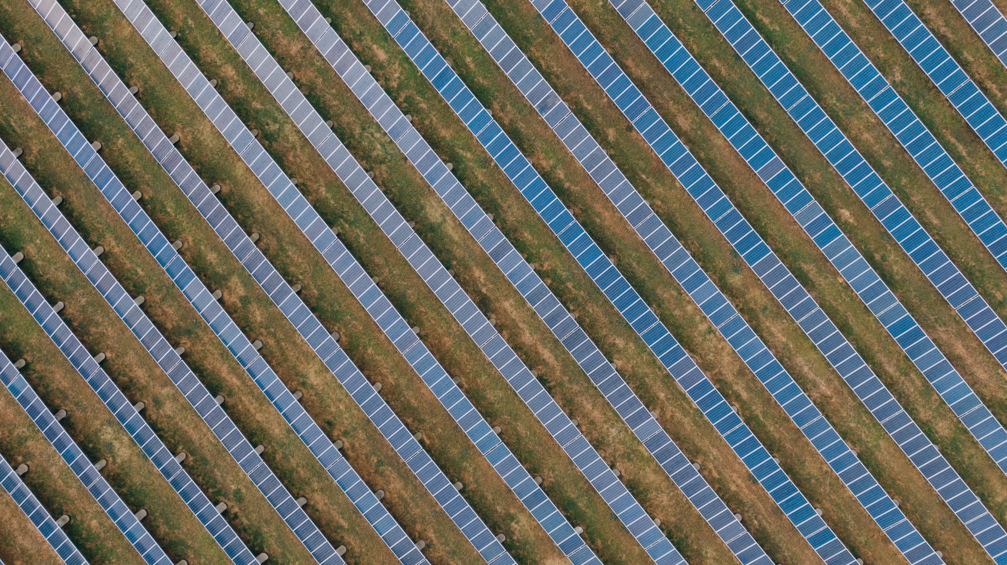 Asset Management | Quintas Energy