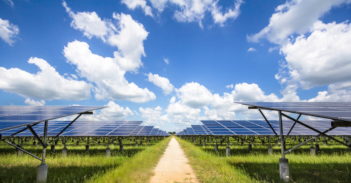 Asset Management | Quintas Energy