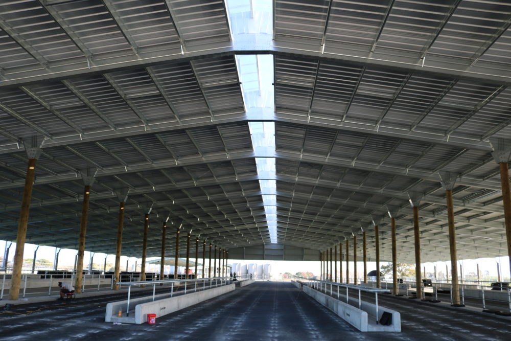 Innovative Structural Systems