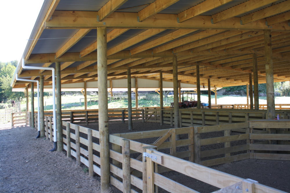 Innovative Structural Systems